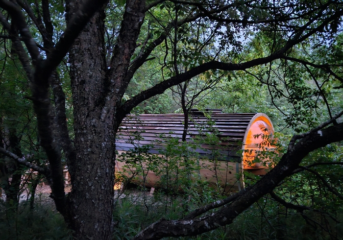 The Dream Capsule - ReLive Retreat